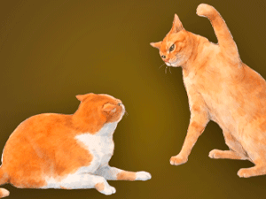 Cat Meme Clicker trò chơi chơi trực tuyến miễn phí không bị chặn